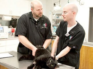 Emergency Animal Hospital in Greensboro | After Hours Vets | AHVEC